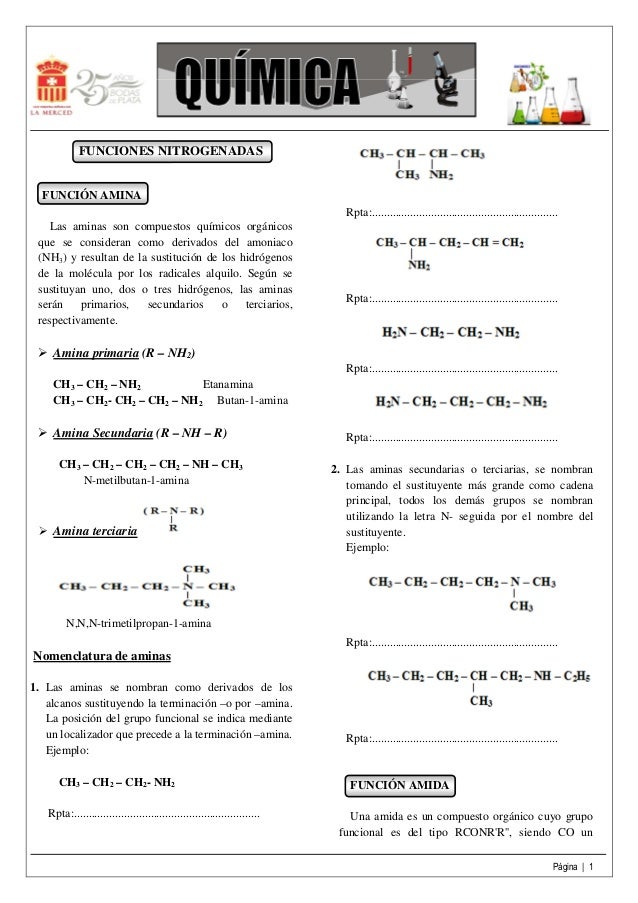 Clase De Funciones Nitrogenadas 