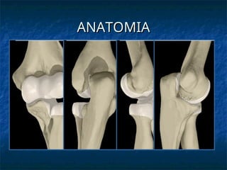 clase de fx de codo 4to año de medicina.ppt