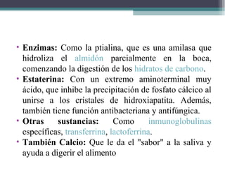 Clase de glandulas salivales | PPT