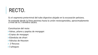clase de hemorroides.pptx