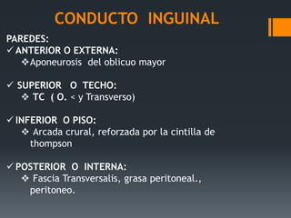 Clase de Hernia inguinal | PPTX