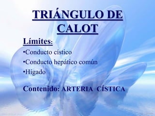 CLASE DE HIGADO.pdd fisiopatologia y anatomia facil y sencilla | PDF