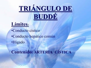 CLASE DE HIGADO.pdd fisiopatologia y anatomia facil y sencilla | PDF
