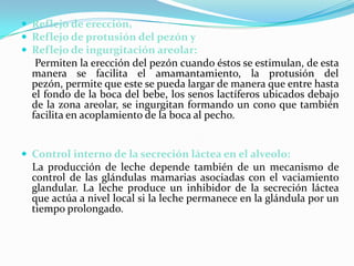 Clases y reflejos de lactancia materna | PPTX