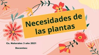 CLASE DE LAS PLANTAS.pptx.............................. | PPTX