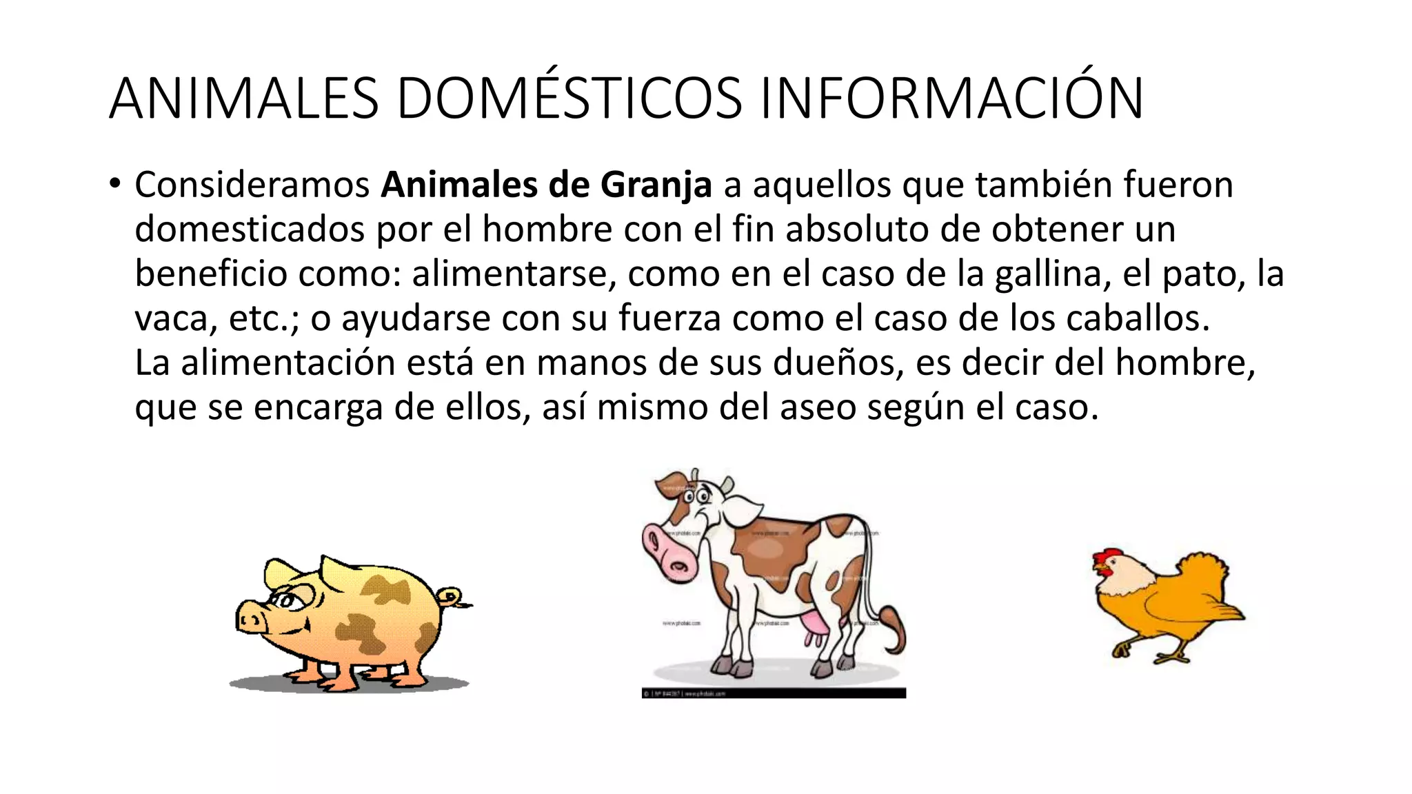 Clase de los animales domesticos | PPT