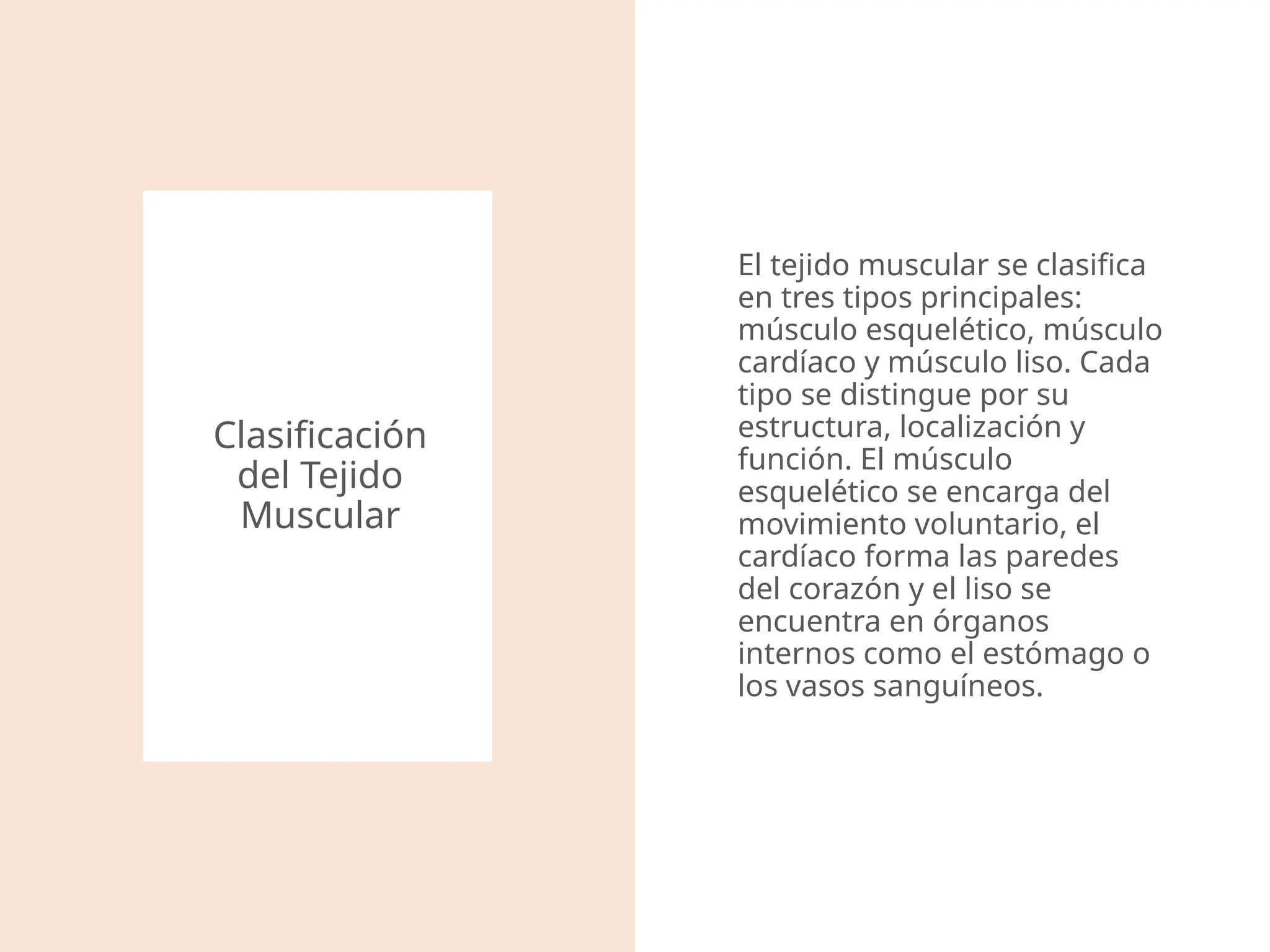 Clase del tejido muscular.vamos a aprender .pptx