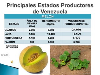 Clase de melón22 | PPTX