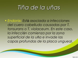 Clase de micosis superficiales | PPT