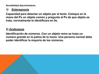 Exploracion fisica: Sistema nervioso central y periferico | PPTX