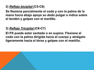 Exploracion fisica: Sistema nervioso central y periferico | PPTX