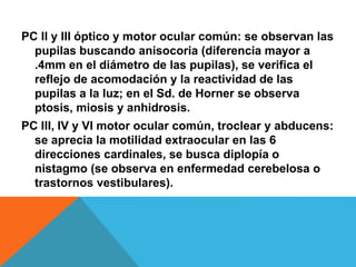 Exploracion fisica: Sistema nervioso central y periferico | PPTX