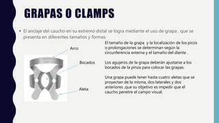 Aislamiento del campo de trabajo en la odontología | PPTX