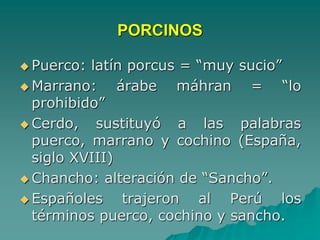 clases de porcinos generales de porcinos | PPT
