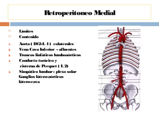 Clase de retroperitoneo | PPT