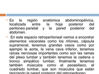 Clase de retroperitoneo | PPT