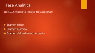 Clase examen general de orina | PPTX