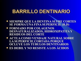 Clase facultad 1 histologia dentaria | PPT