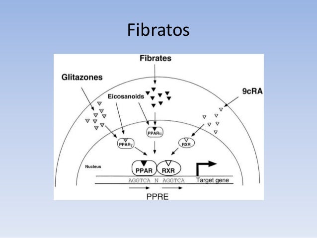 Farmacologia Cardiovascular Diplomado Universidad Anahuac