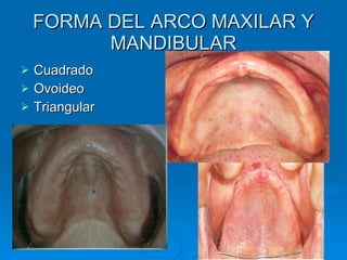Clase Ficha Clinica 07 | PPT