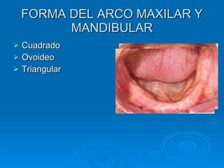 Clase Ficha Clinica 07 | PPT