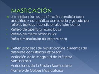 ANATOMIA Y FISIOLOGIA NOCTURNO Y SABATINO: Fisiologia de la Masticación ...