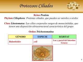 Módulo III, Tema 8: Flagelados y Ciliados | PDF