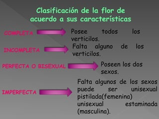 CLASE de morfología de la flor, partes de la flor | PPT