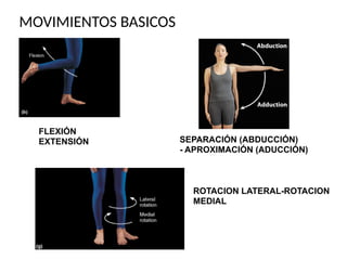 Clase generalidades anatomia y osteologia.pdf