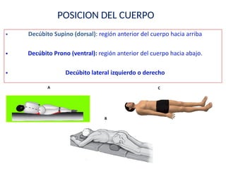Clase generalidades anatomia y osteologia.pdf