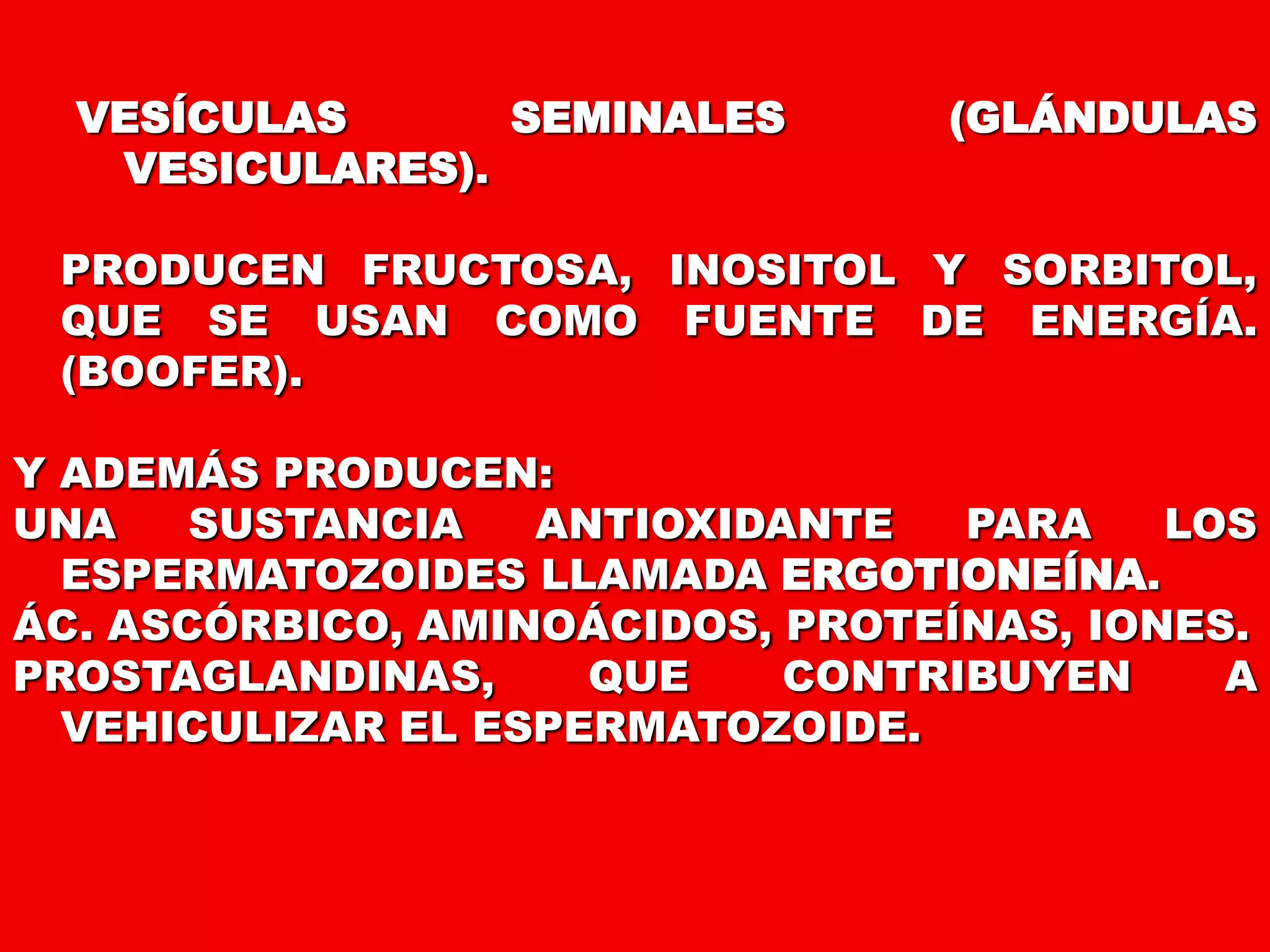 GLÁNDULAS ACCESORIAS Y PENE EN LOS MACHOS | PPTX