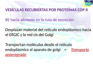 Aparato de Golgi BIOLOGIA CELULAR BIOANALISIS | PPTX