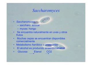 Clase Hongos 2; Alimentos Ppt | PDF