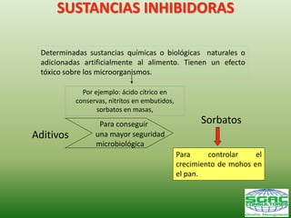 CLASE I-MICROBIOLOGIA-CLASE MUESTRAS BIOLOGICASppt | PPT
