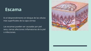 Lesiones Elementales Oral | PDF