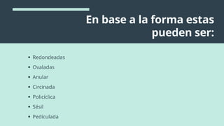 Lesiones Elementales Oral | PDF
