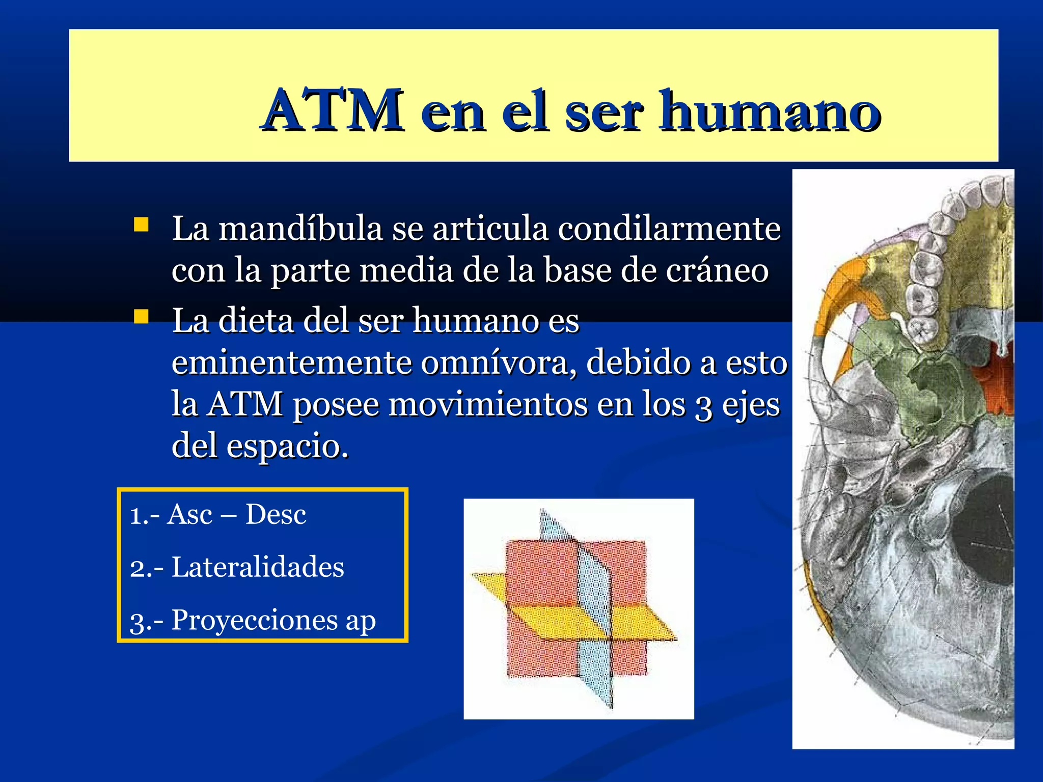 Clase iii atm parte 2- dinámica mandibular. | PPT