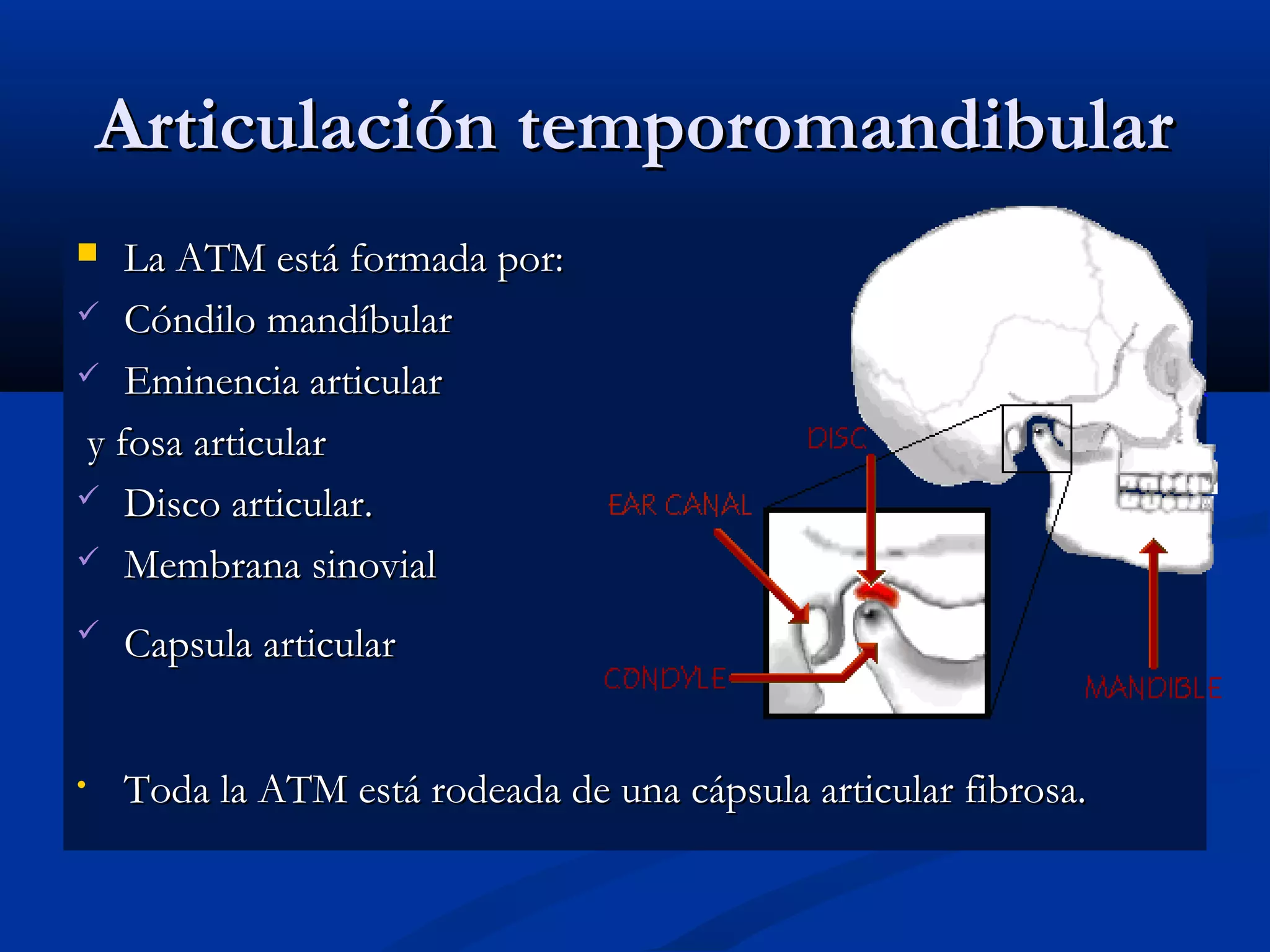 Clase iii atm parte 2- dinámica mandibular. | PPT