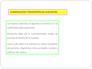 CLASE III BIOPSIA.pptx ENFERMERIA BIOPSIA | PPTX