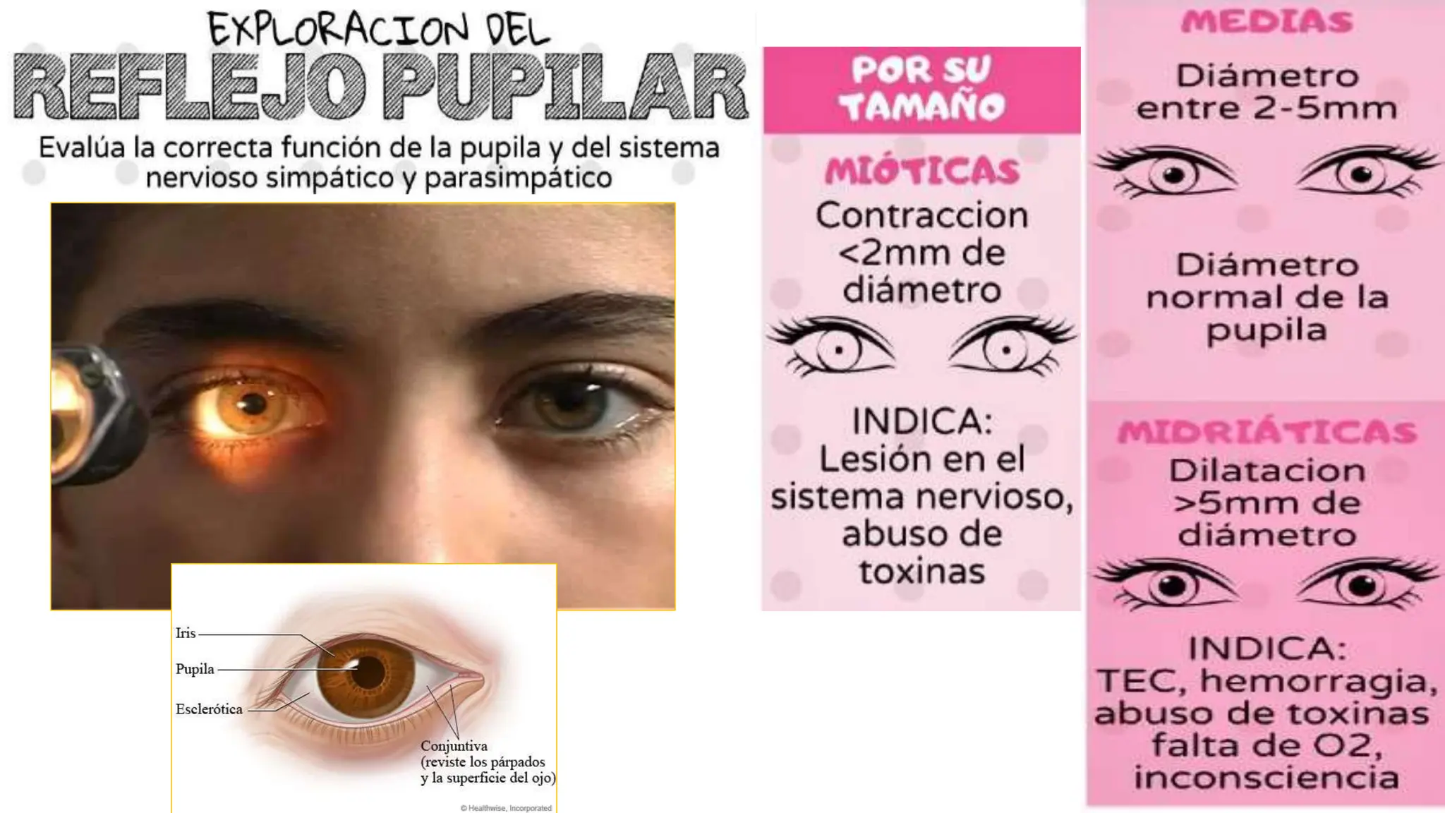CLASE IV-SIGNOS VITALES 2º PARTE.pdf.pptx