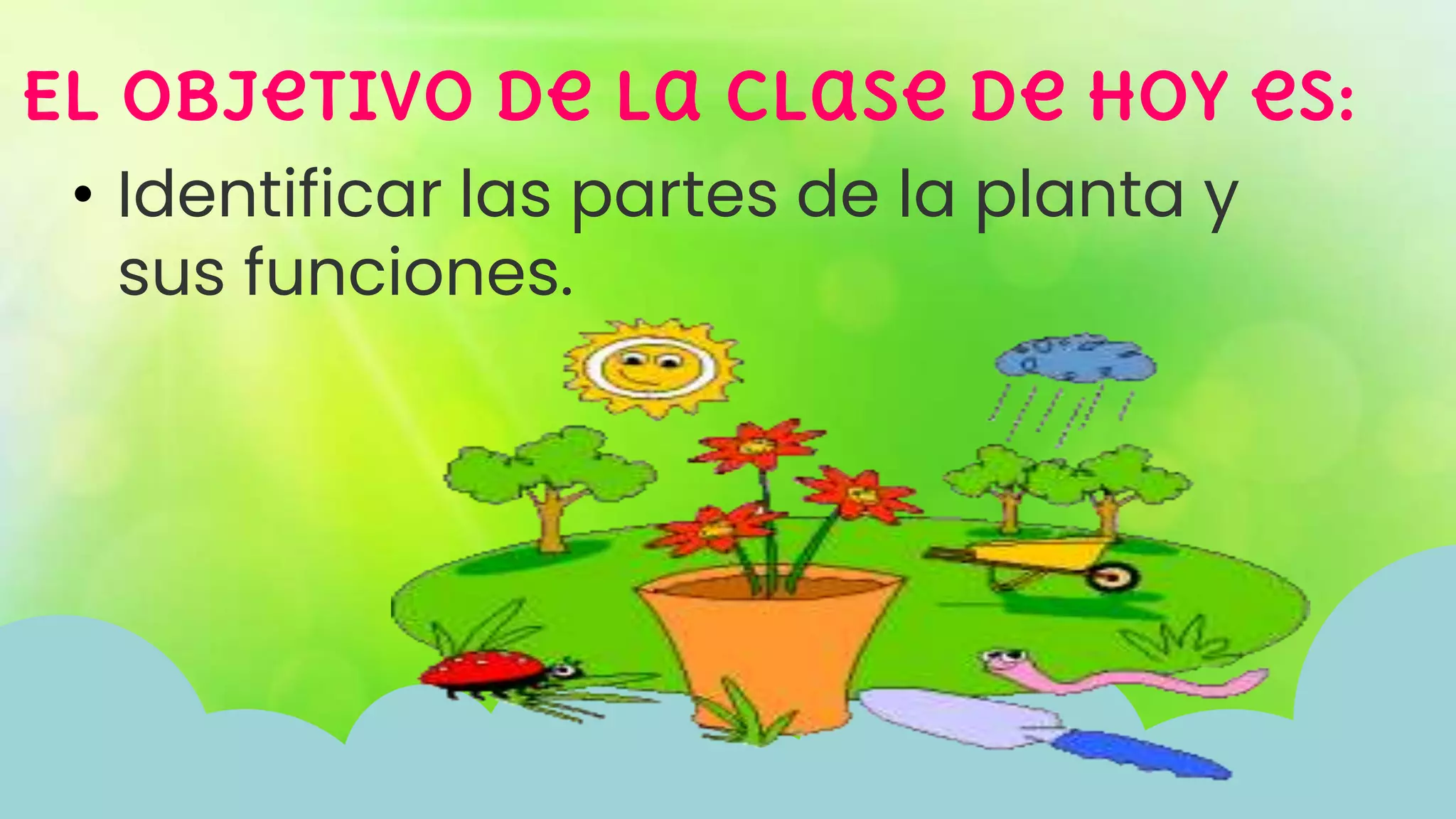 Clase Las plantas, necesidades y partes 23 sept..pptx
