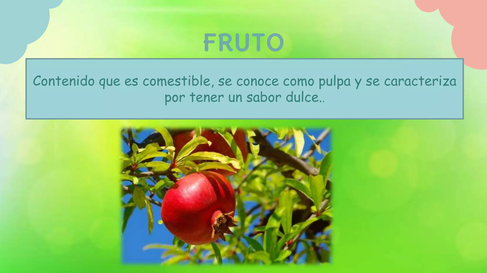 Clase Las plantas, necesidades y partes 23 sept..pptx