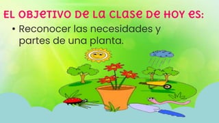 Clase Las plantas, necesidades y partes 23 sept..pptx