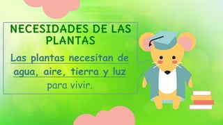 Clase Las plantas, necesidades y partes 23 sept..pptx