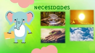 Clase Las plantas, necesidades y partes 23 sept..pptx
