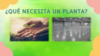 Clase Las plantas, necesidades y partes 23 sept..pptx