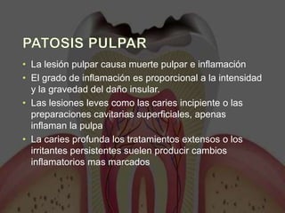 Pulpa y Patosis Periapical (endodoncia l) | PPTX