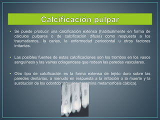 Pulpa y Patosis Periapical (endodoncia l) | PPTX