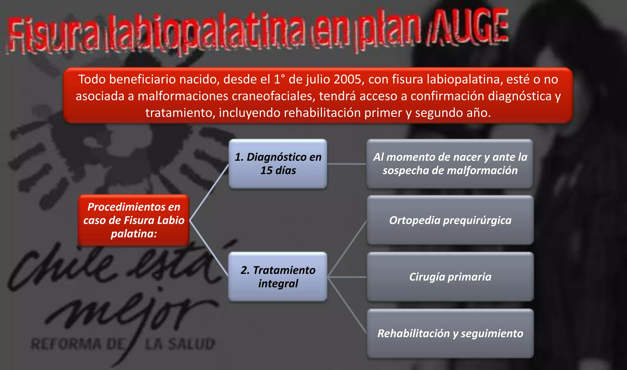 Fisura Labiopalatina y Labio Leporino | PPSX