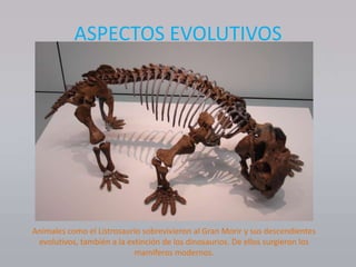 Clase mammalia por Patricio Barragán | PPTX